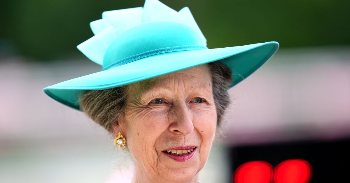 Princess Anne Shares First Statement Following Hospitalization - BollSpel
